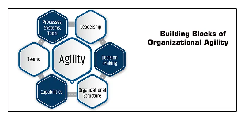 Major Clusters of Building Blocks of Organizational Agility