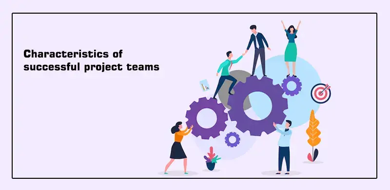 Top 10 Characteristic of Effective and Successful Project Teams