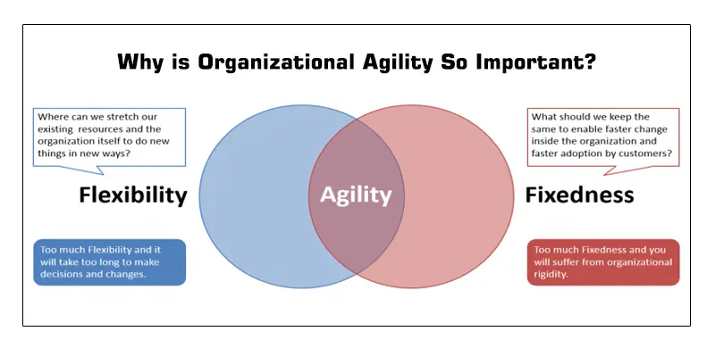 Importance of Organizational Agility & Its Major Benefits